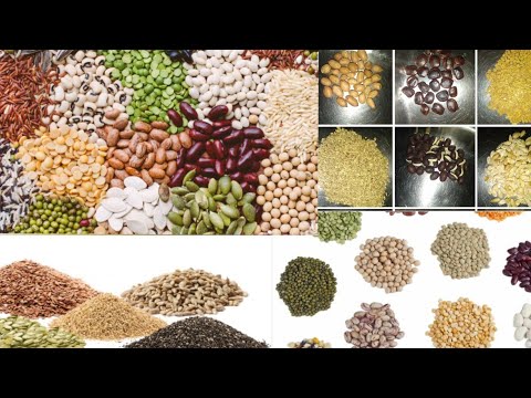 School project 20 types of seeds with names - YouTube