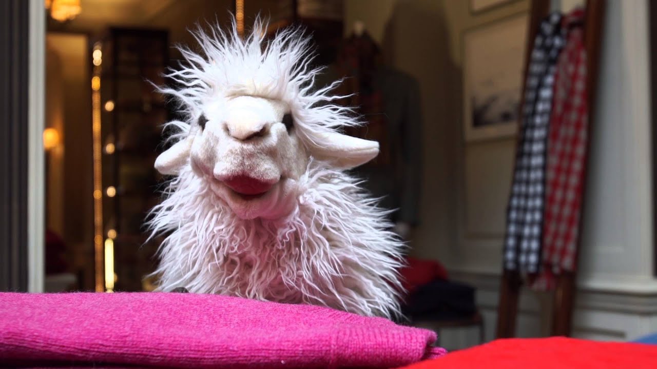 The Campaign for Wool - Episode 10 - YouTube