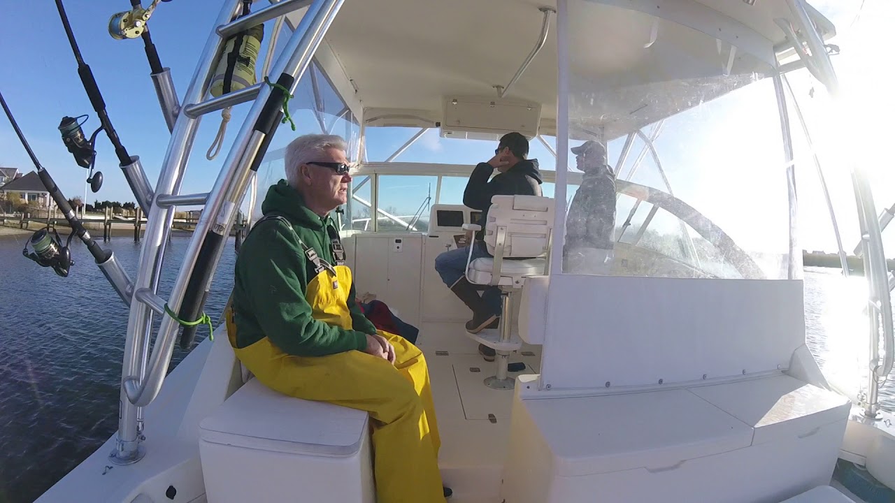 Jenny Sea return holiday edition - YouTube