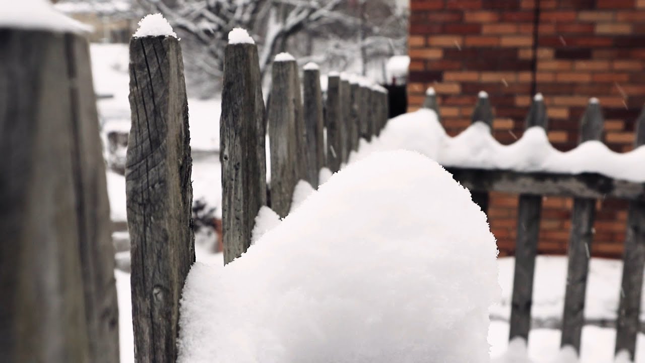 Snow Day - Short Film w/ Canon M6 - YouTube