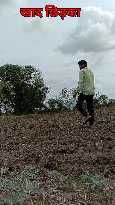 Aaj khet ki buai karwa di #buai #shorts #kheti - YouTube