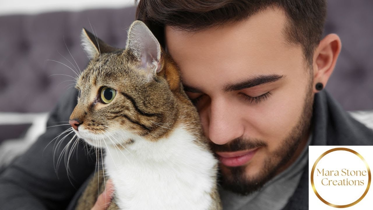 Cute Cats Cuddling Cool Men: 10 hours of Cool Men Snuggling Cats with ...