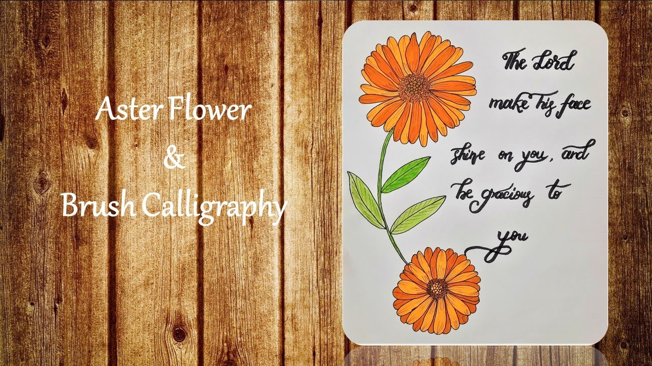 How to draw Aster flower | Brush Calligraphy | Aster flower Tutorial ...