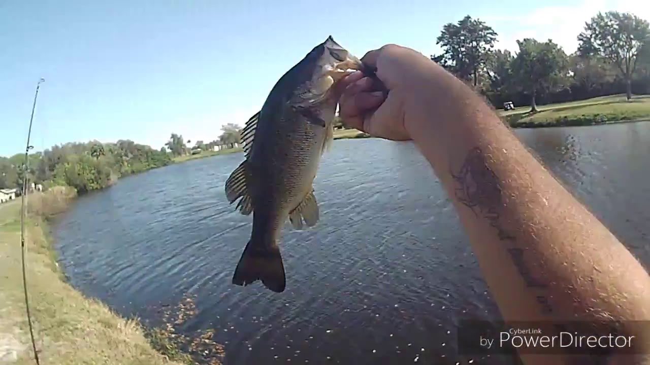 8 1 2 Pound Bass 5 Pound Bass And Much More YouTube 8-1-2-pound-bass-5-pound-bass-and-much-more-youtube