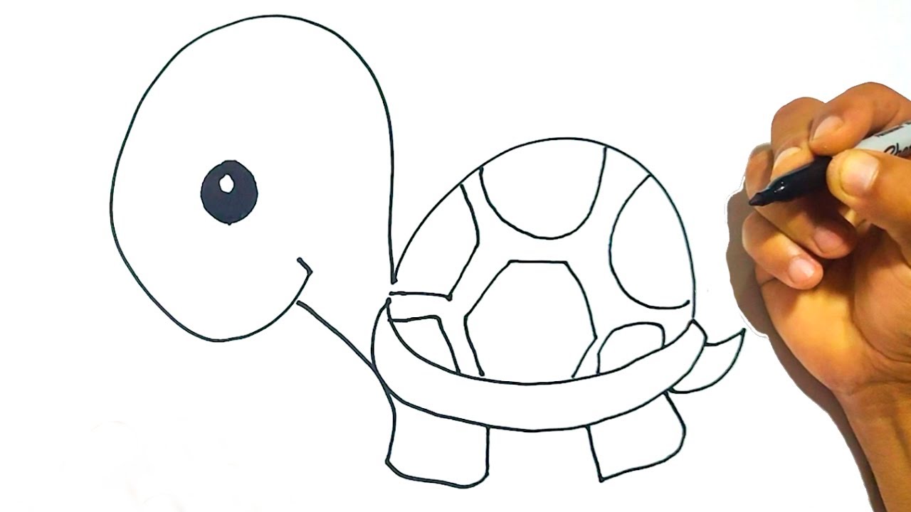 How to Draw Easy TORTOISE - Drawing Step by Step - YouTube