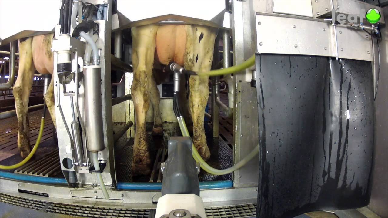 Boumatic Robotics MRD1 Dutch - YouTube