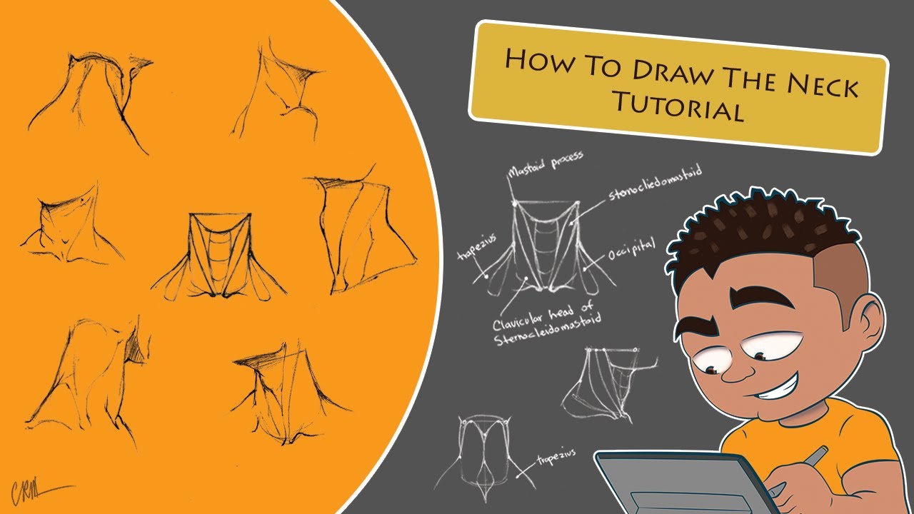 How To Draw The Neck Tutorial | Using Simple Shapes - YouTube