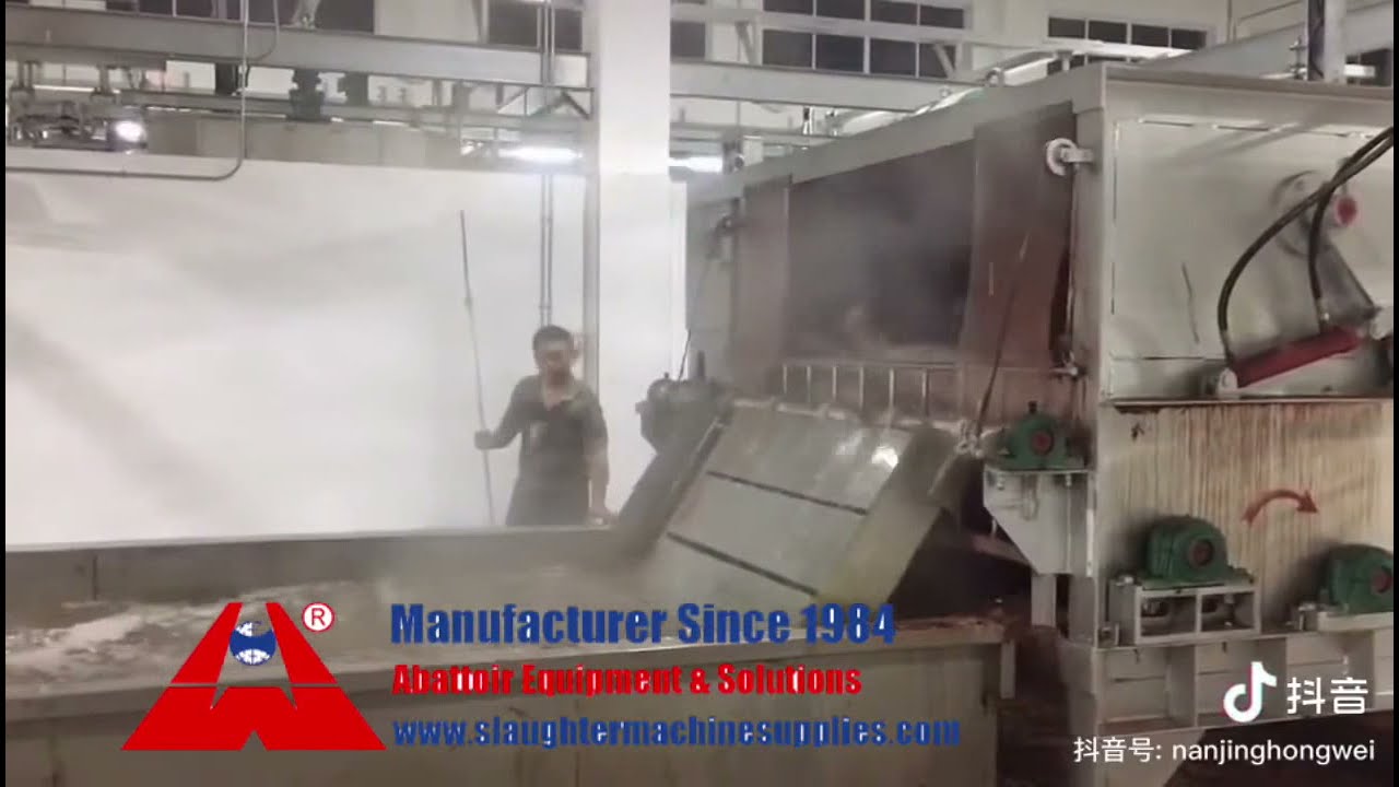 Pig scalding tank & dehairing machine hog abattoir slaughtering line ...