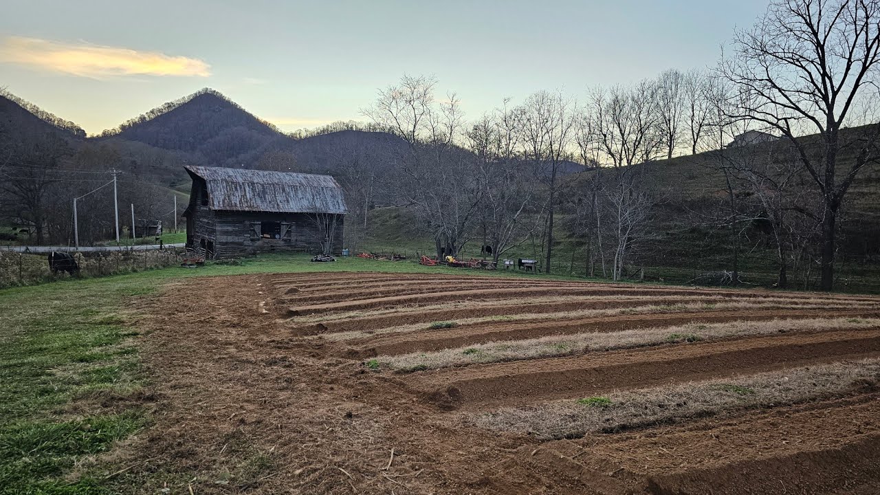 Shaping up nicely... 11/14 - YouTube