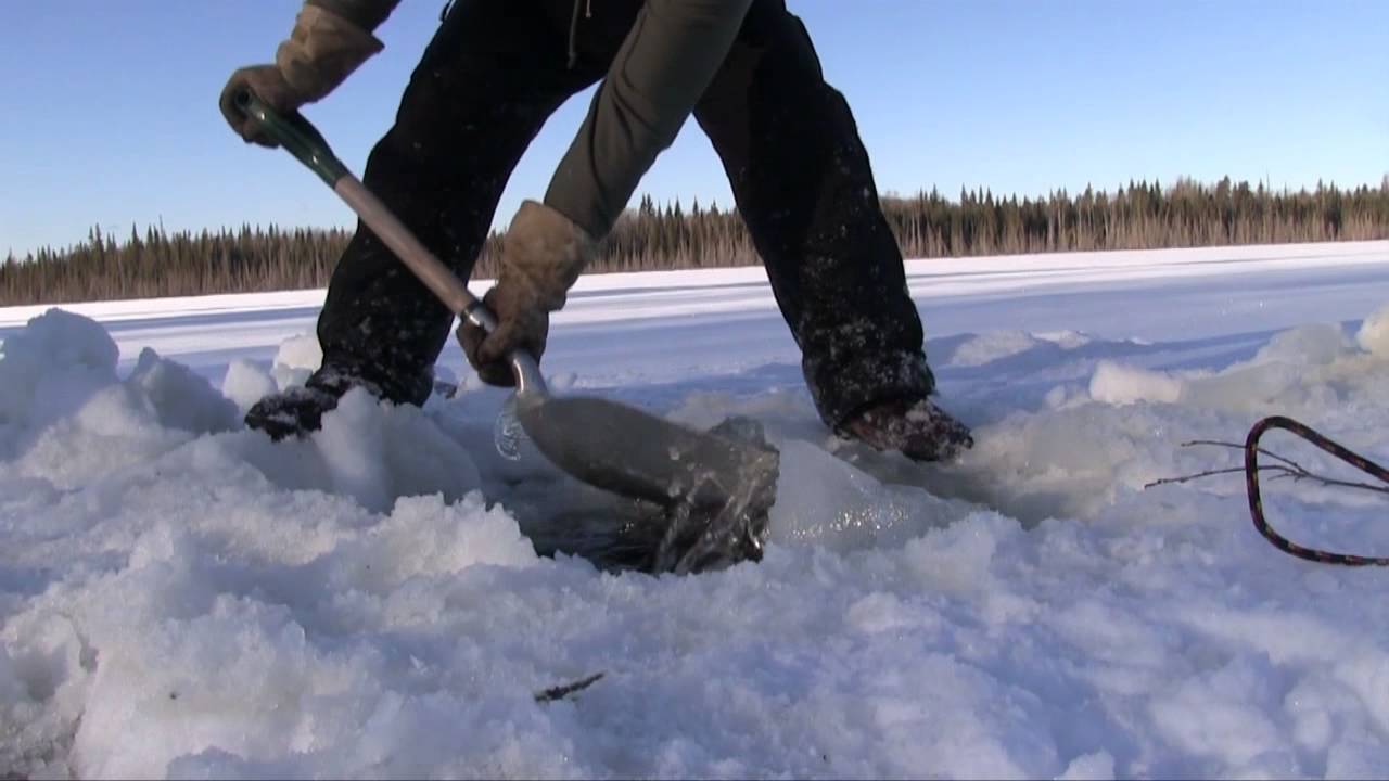 Trapping Inc Ep10 S1 Winter beaver - YouTube