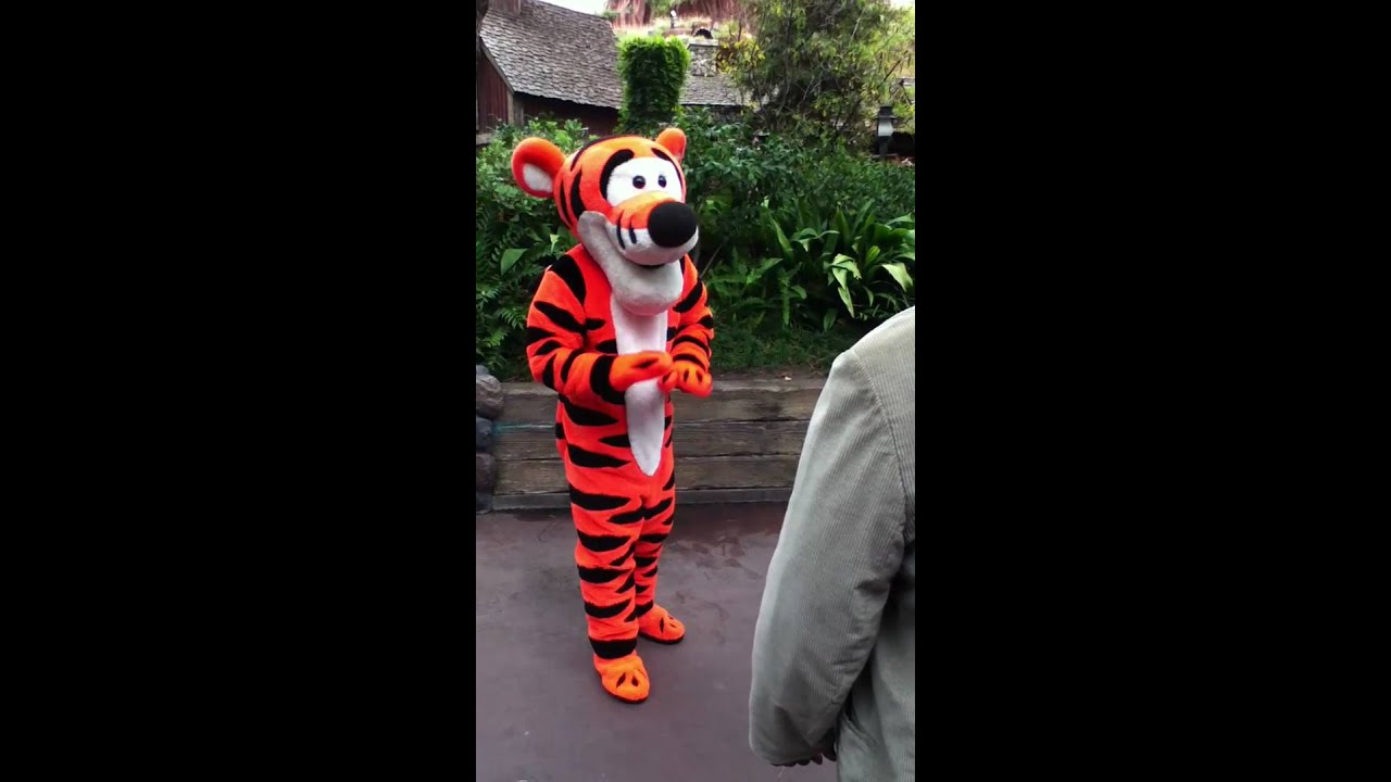 Tigger Dancing in Disneyland - YouTube