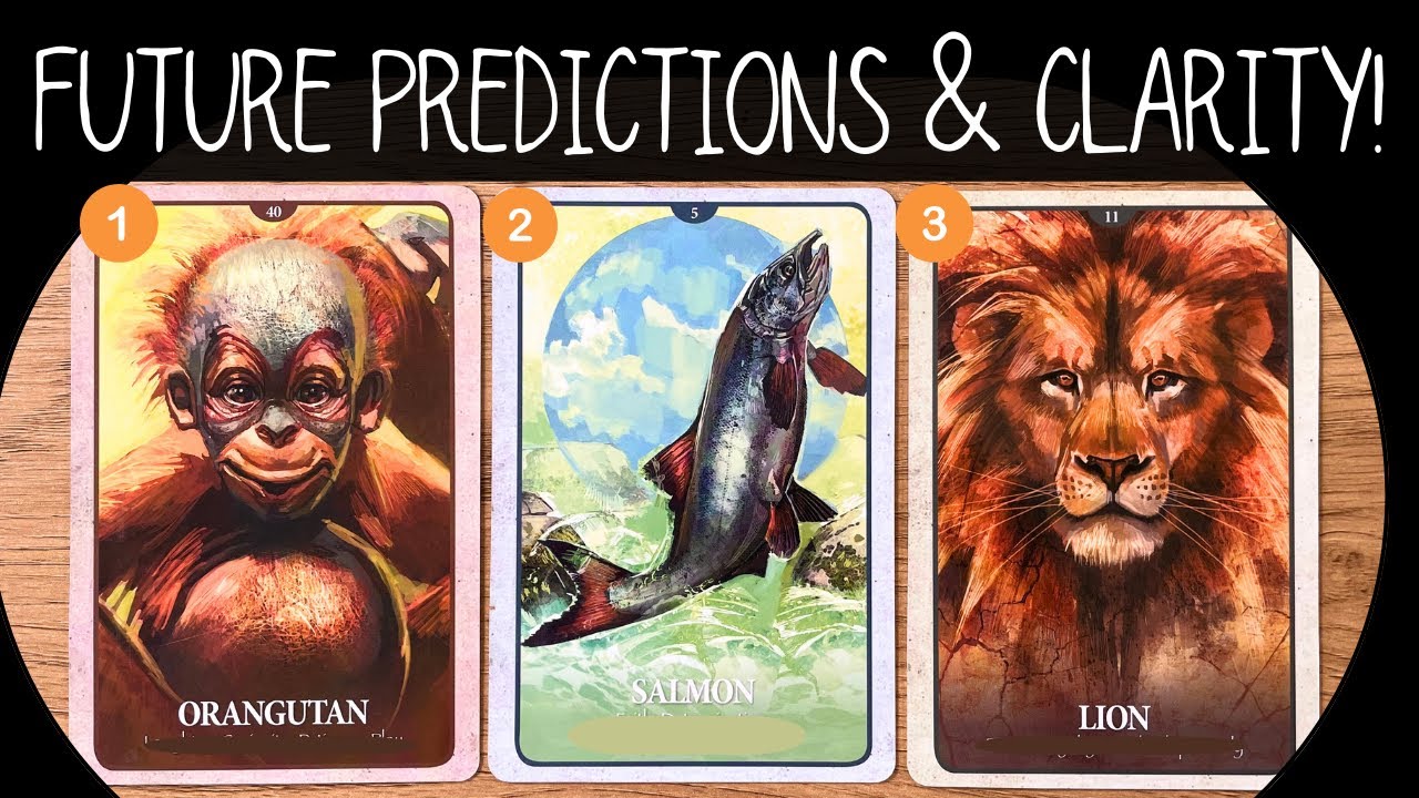 Future Prediction, Advice & Clarity!! 🌈🕯️🌟 Pick a card⎜Timeless - YouTube