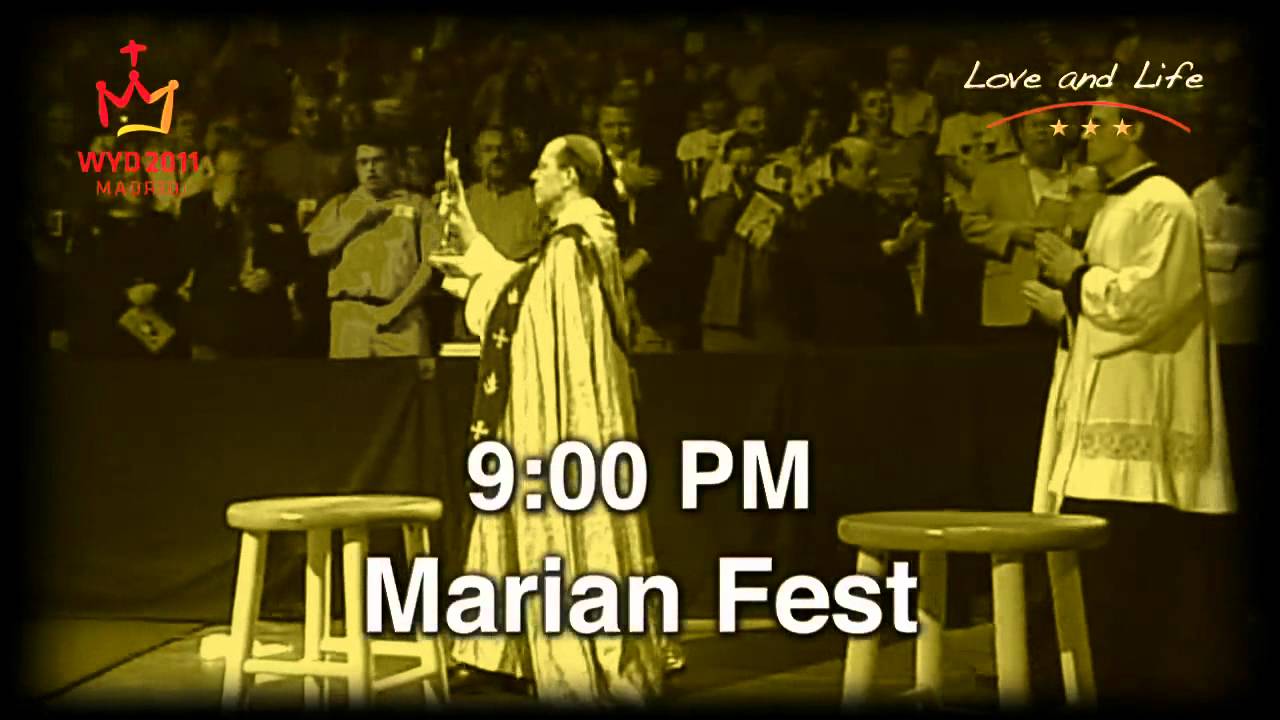 WYD Love and Life Centre - Wednesday Preview - YouTube