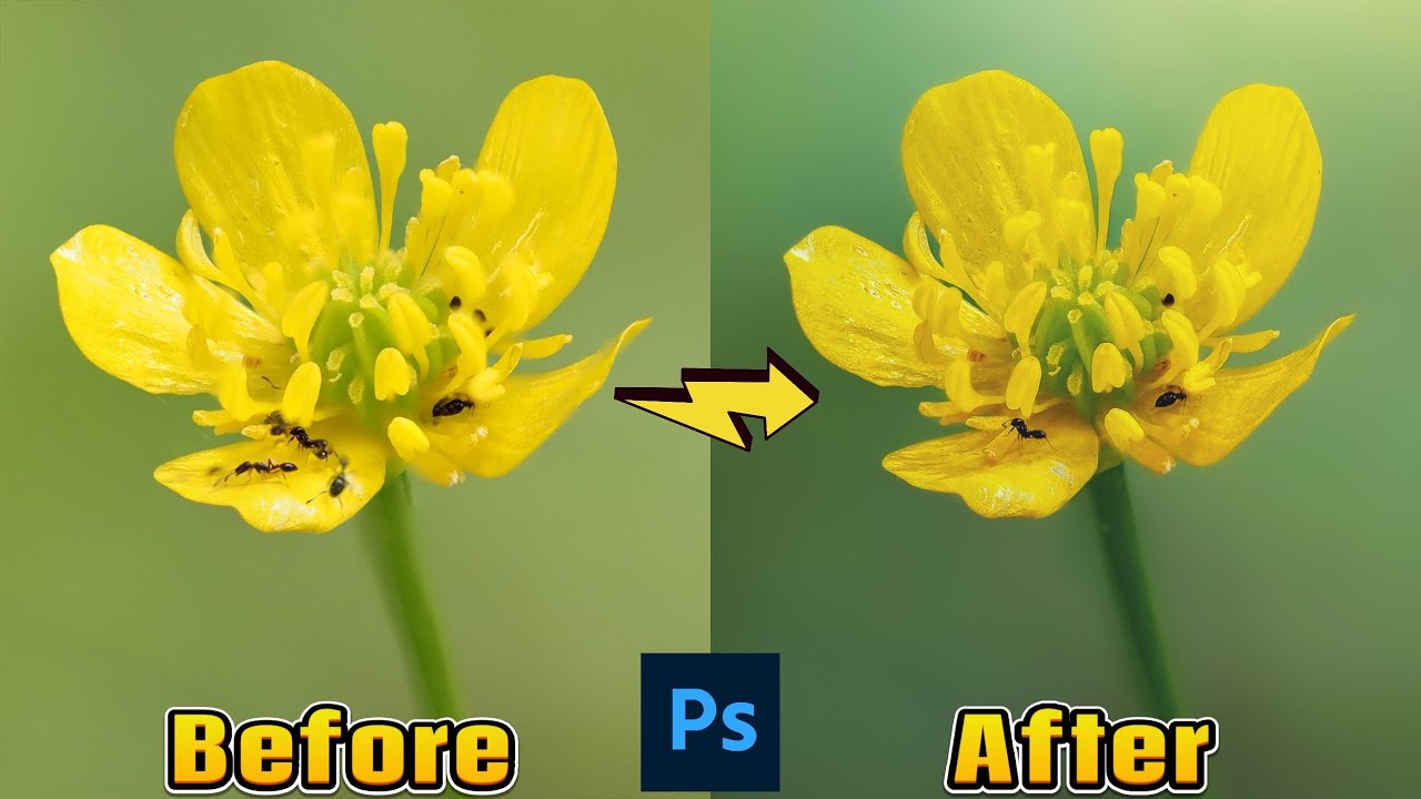How To Fix Focus Stacking Artifacts In Photoshop Episode 1 - YouTube