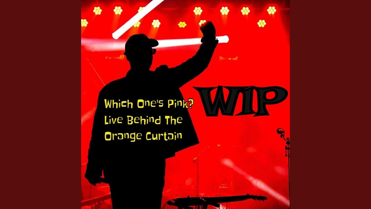 One of These Days (Live) - YouTube