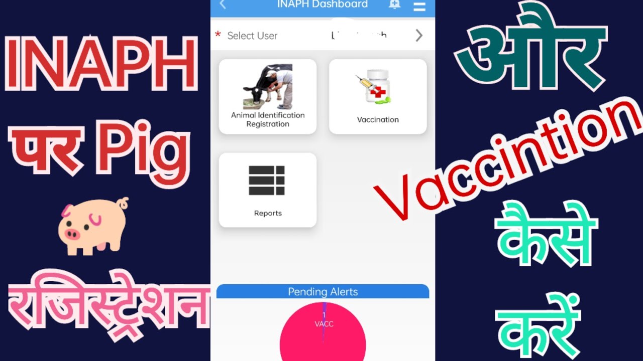 INAPH Nddb:- इनाफ पर pig रजिस्ट्रेशन कैसे करें #inaph - YouTube