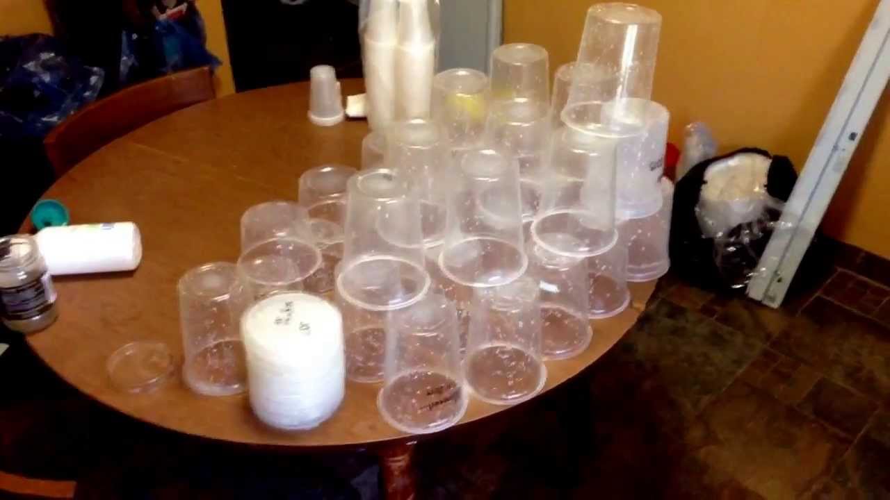 Recycling Fruit Fly cups & lids... - YouTube