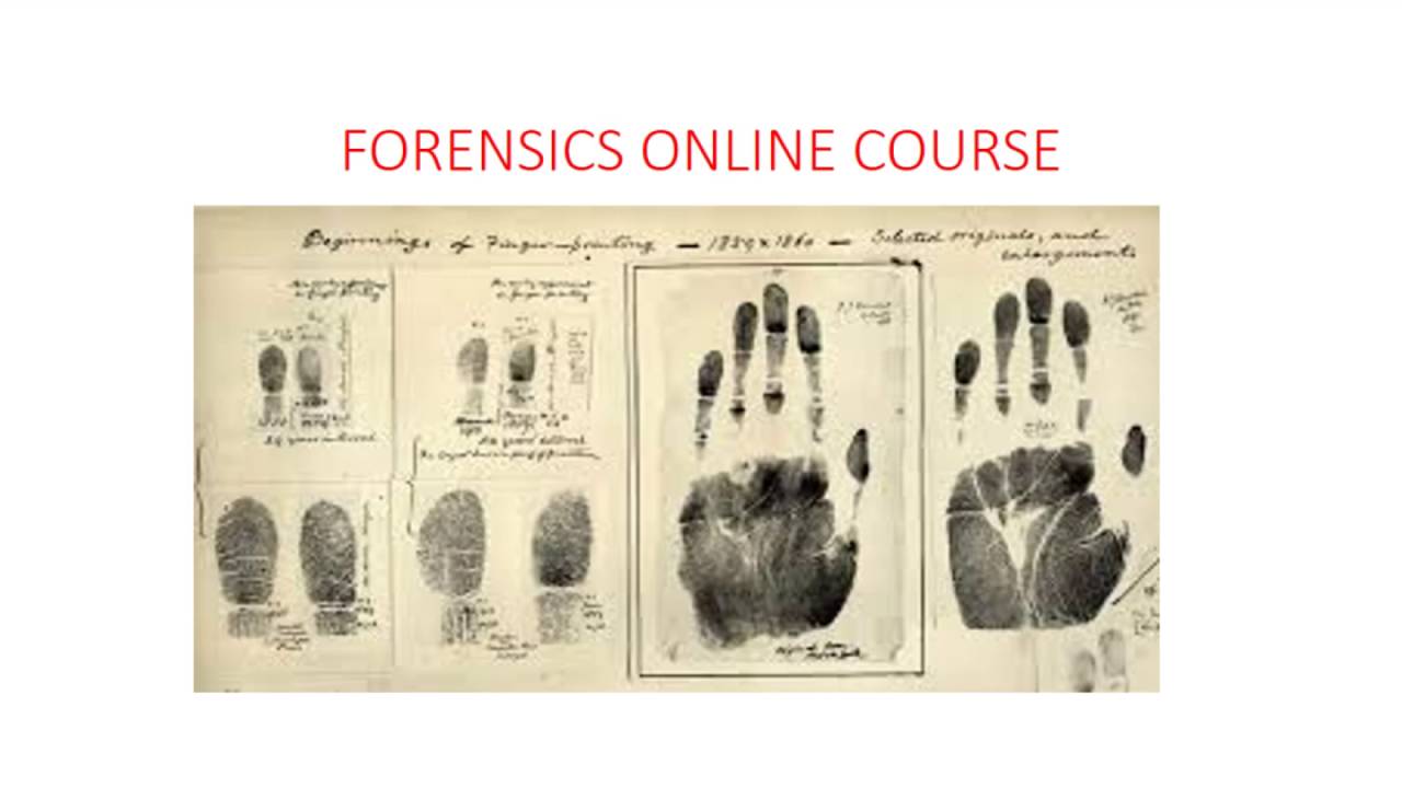 FORENSICS ONLINE COURSE - YouTube