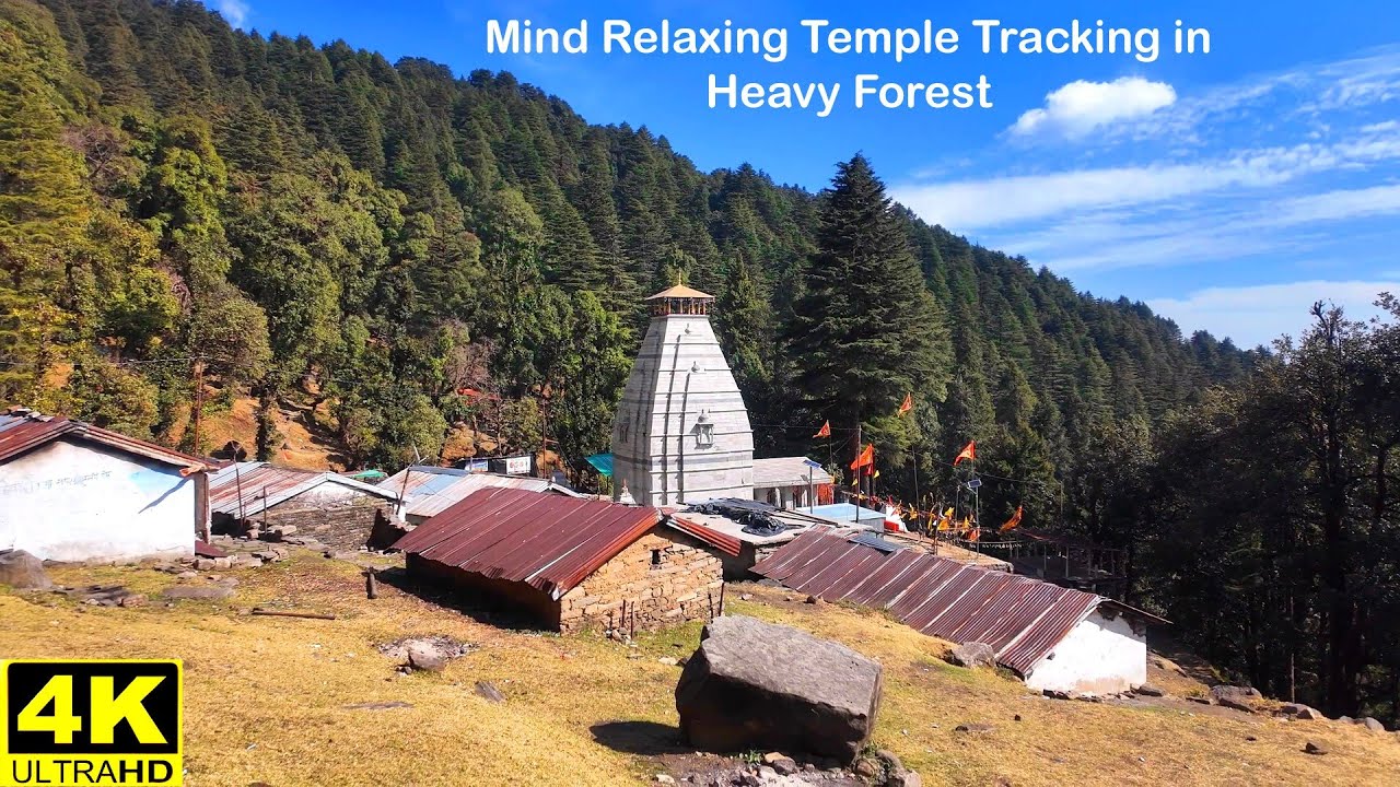 Mind Relaxing Temple Tracking in Heavy Forest 4k Nature Video. - YouTube