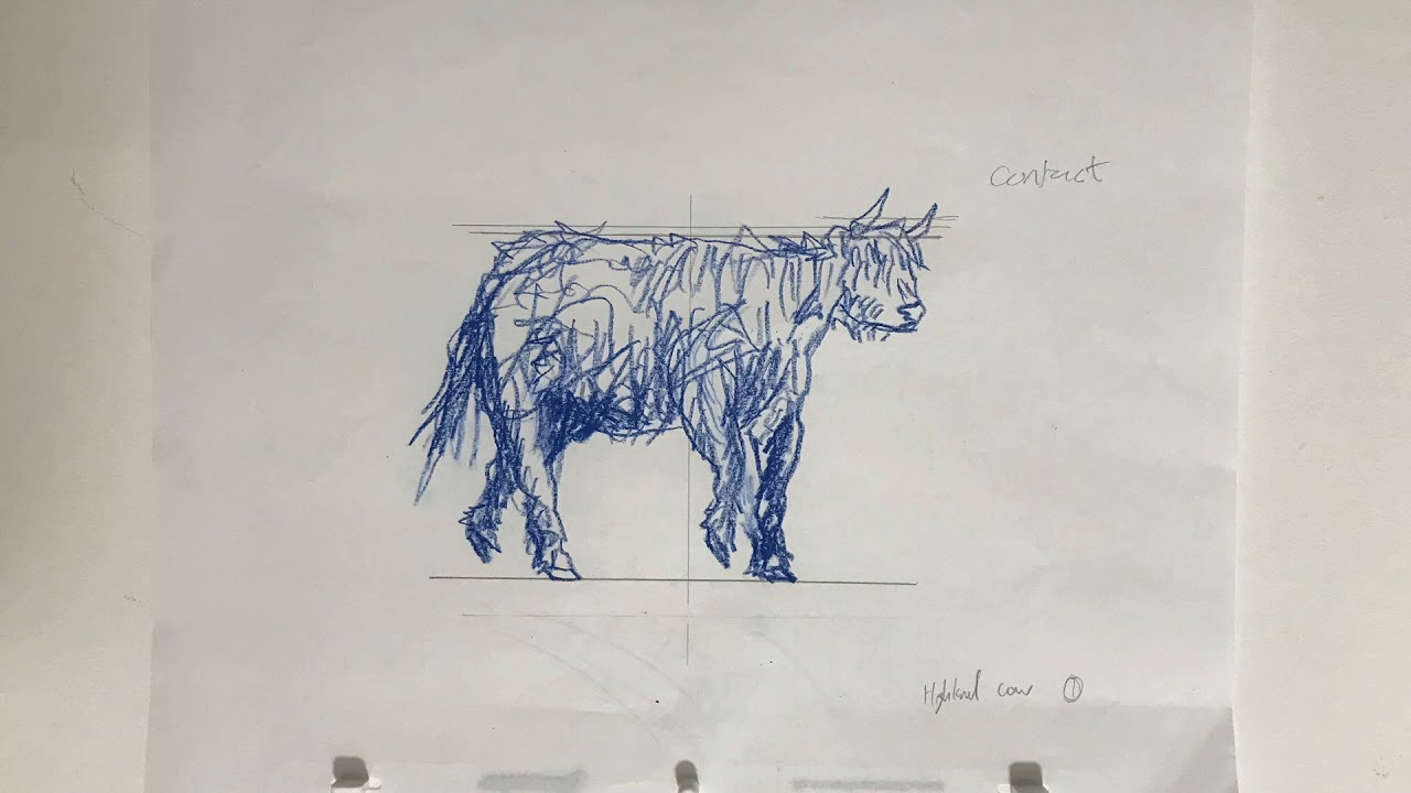 Cow Walk Cycle Gif - YouTube