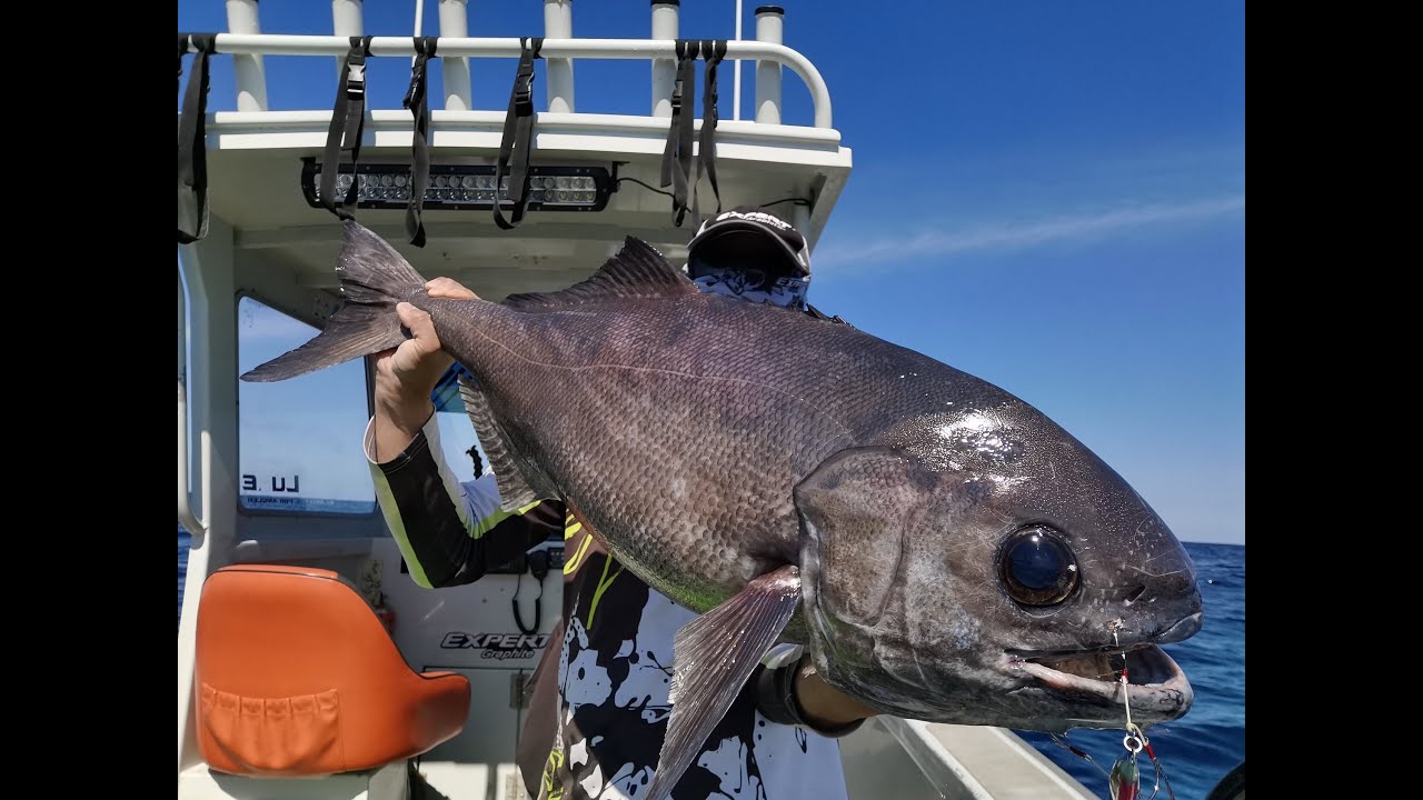 🎣 Can you believe that catch meter + blue eye cod with 300g slow jig ...