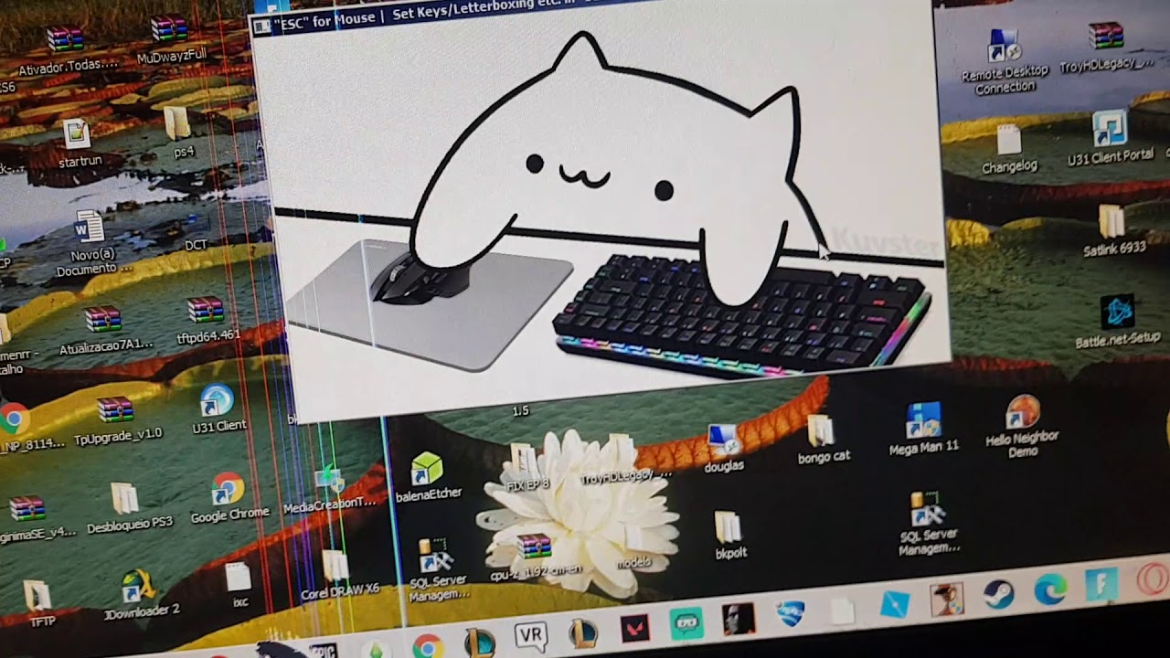 como instalar o Bongo Cat e personalizar - YouTube