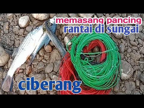 memasang pancing rantai di sungai ciberang #chamfishing - YouTube