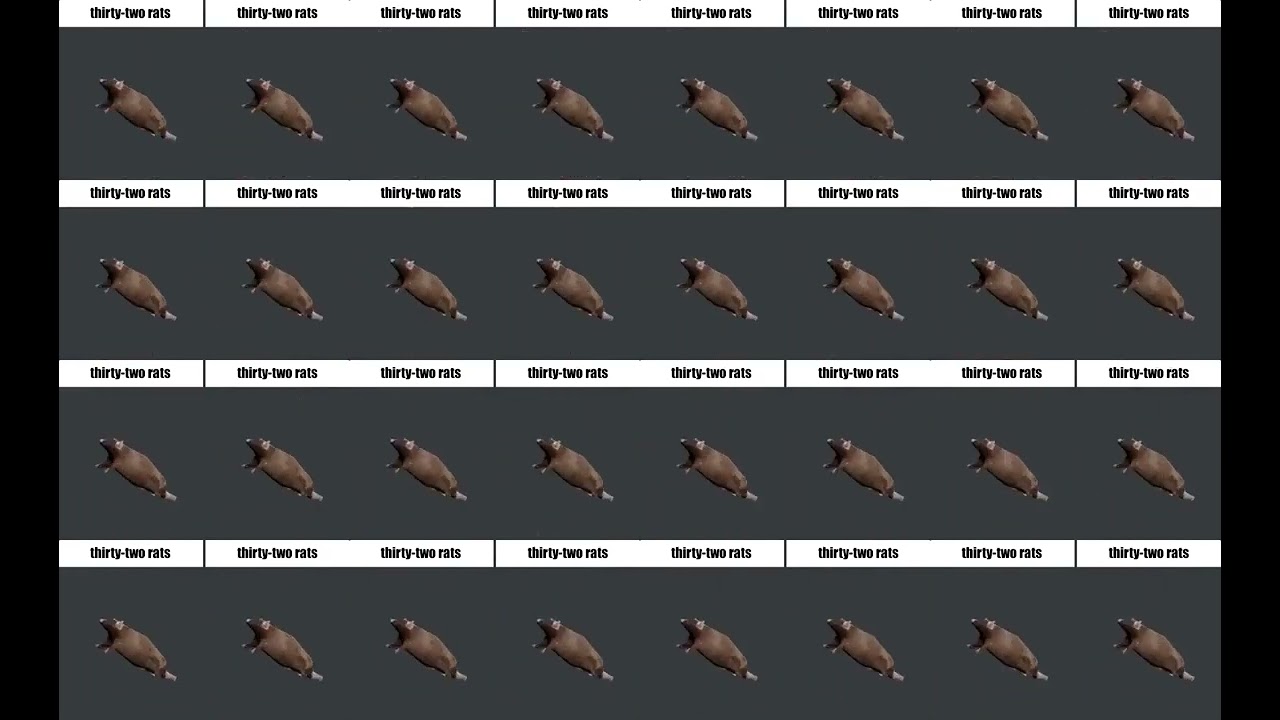 Thirty-Two Rats - YouTube