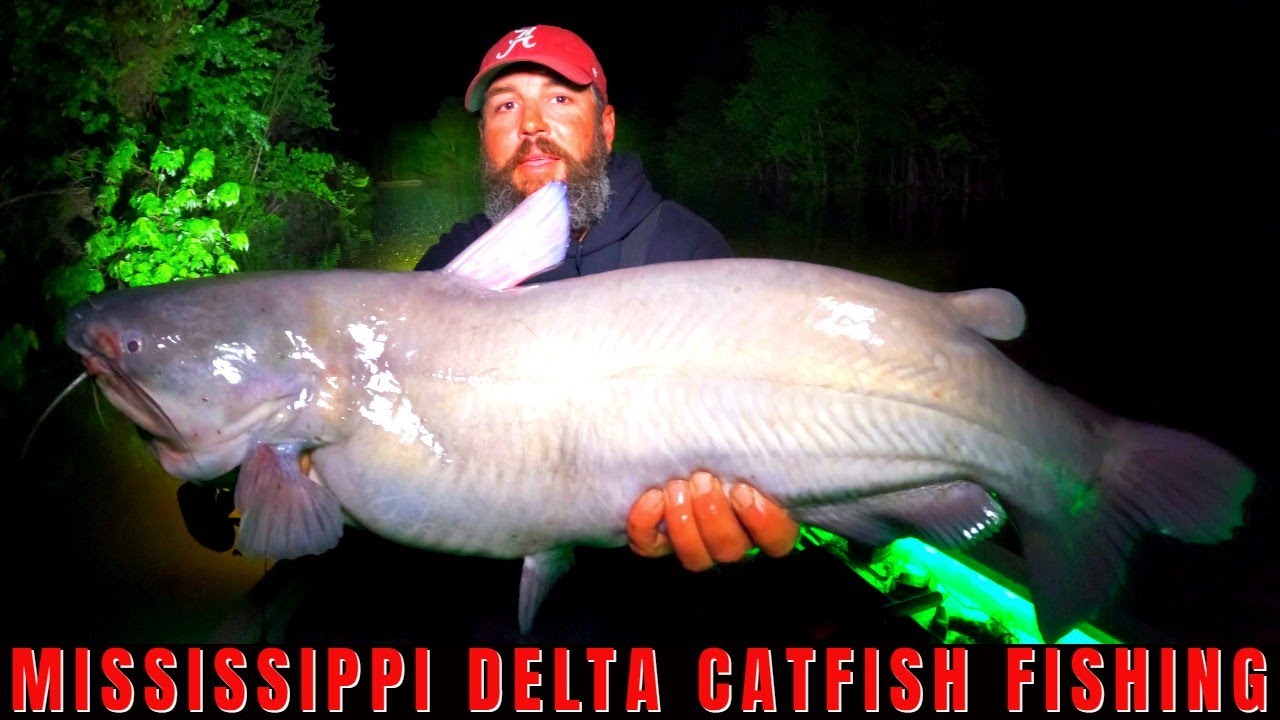 Mississippi Delta Catfish Fishing - YouTube
