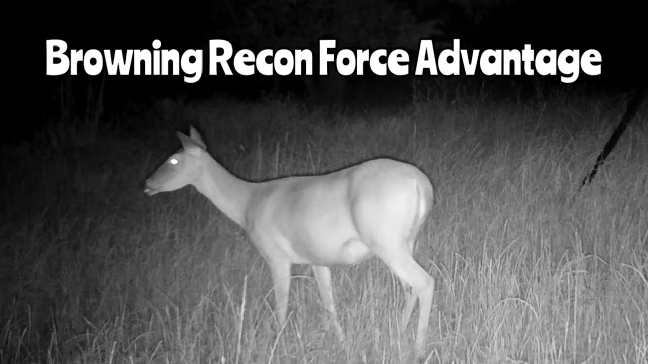 Deer Feeder #1: Browning Recon Force Advantage Trail Camera Mar. 19 ...