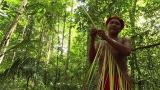 Uncontacted Tribes Of The Amazon Rainforest Rainforest, 40% OFF
