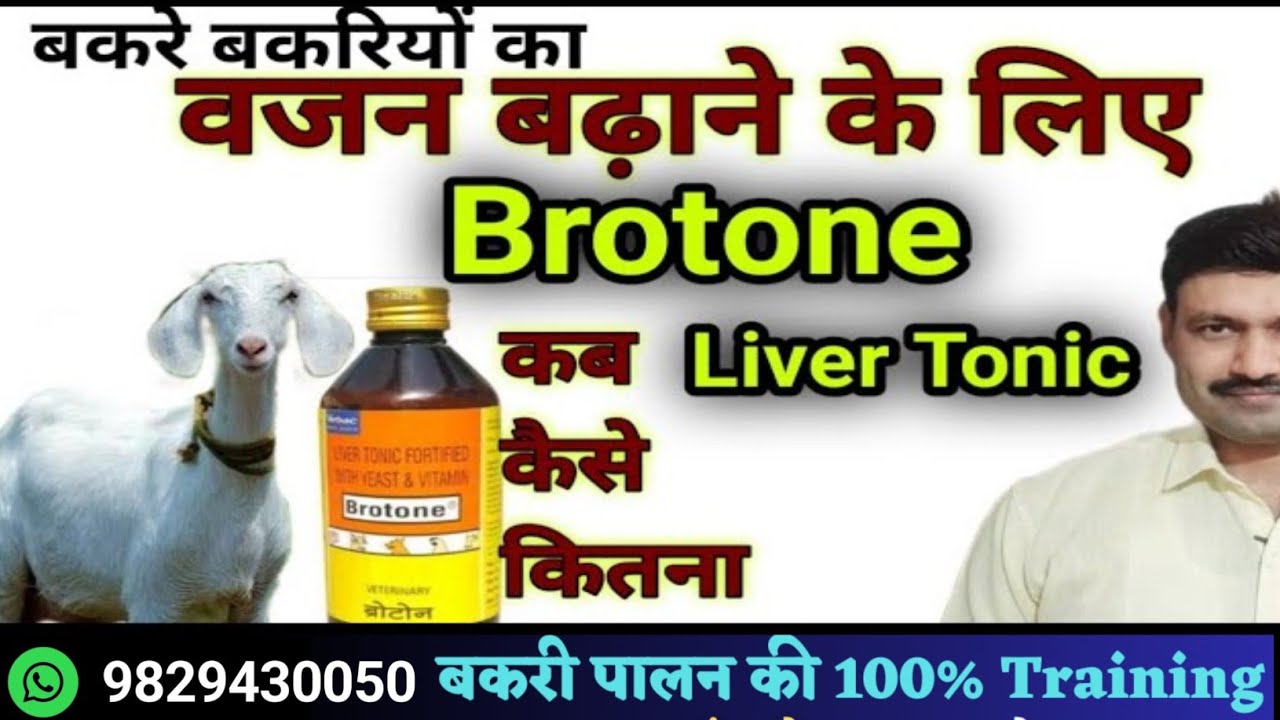 Brotone Liver Tonic for Goats - YouTube