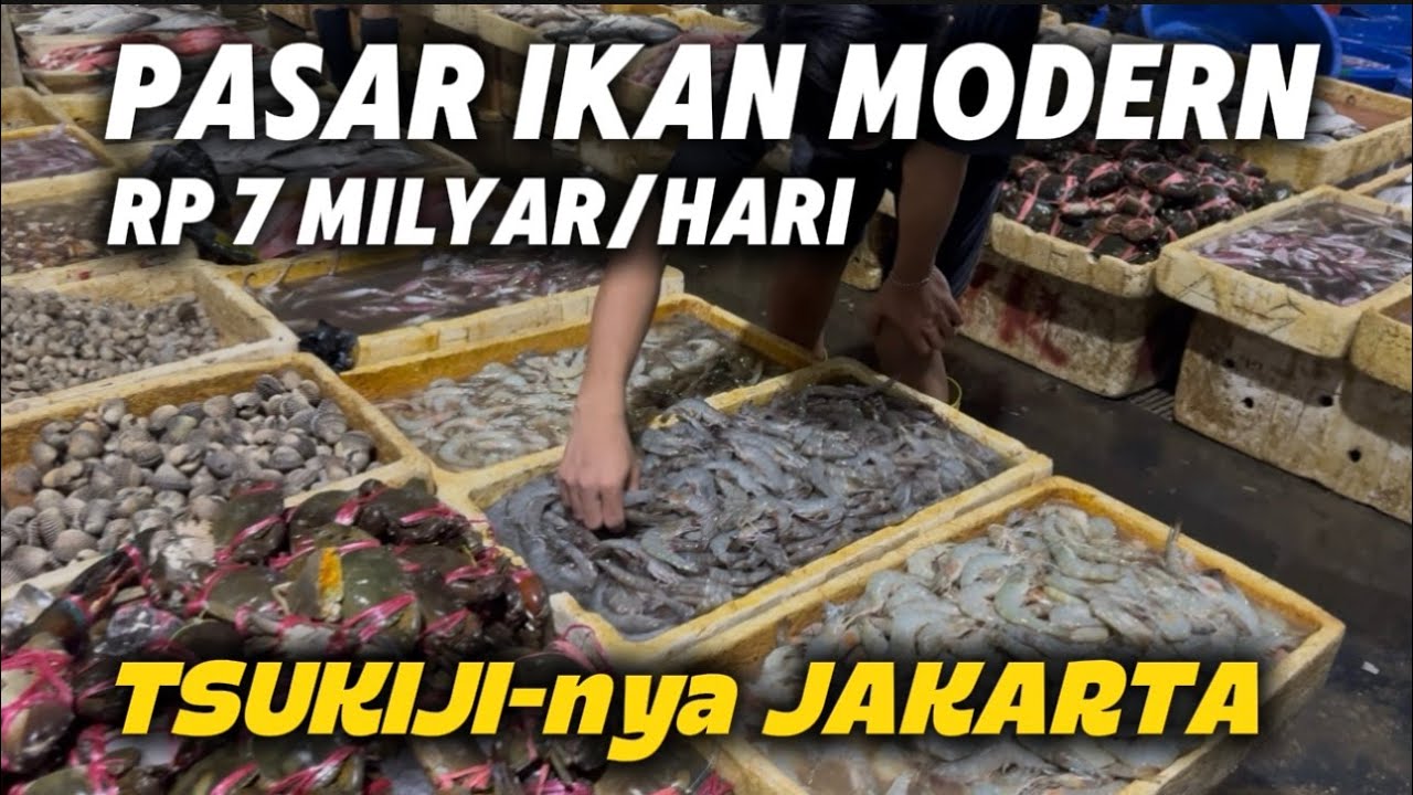 Keren Banget! Pasar Ikan Modern Muara Baru — Tsukiji-nya Jakarta yang ...