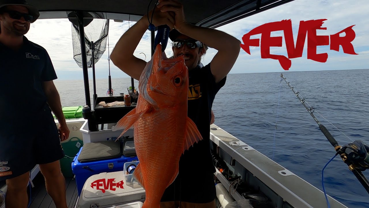 Deep Dropping for Ruby Snapper - YouTube