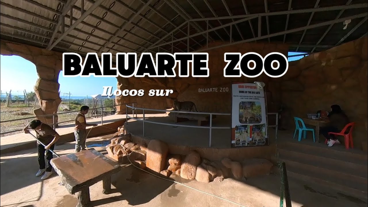Baluarte Zoo Ilocos Sur Full Tour #viralvideo - YouTube