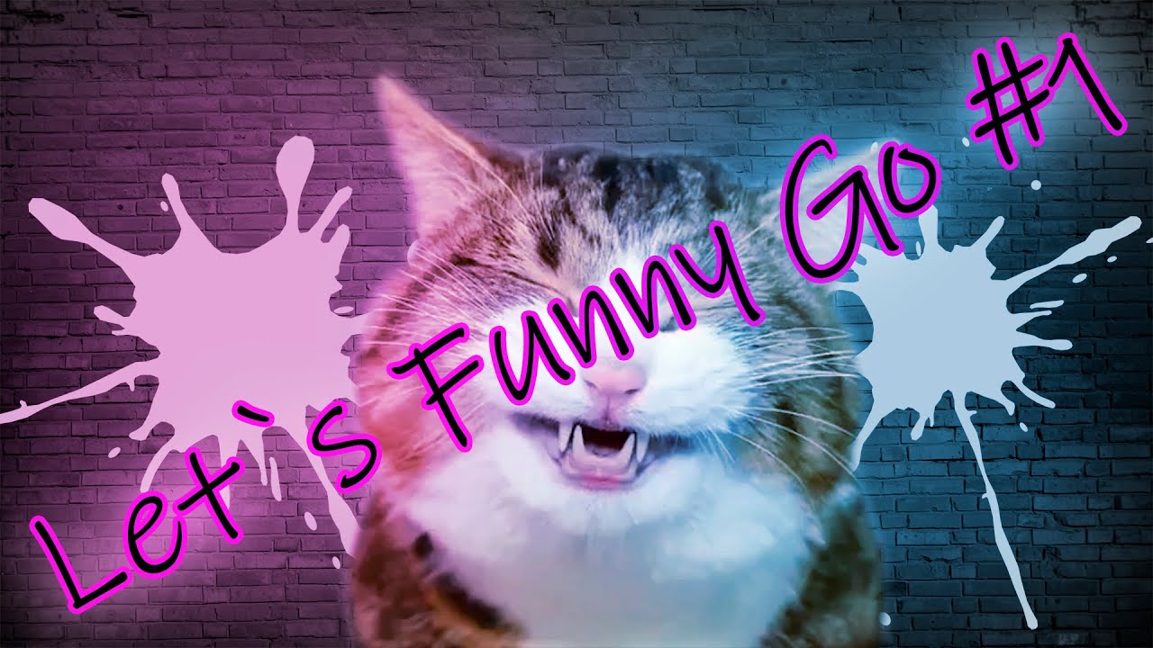 Подборка с животными I Let`s Funny Go #1 - YouTube