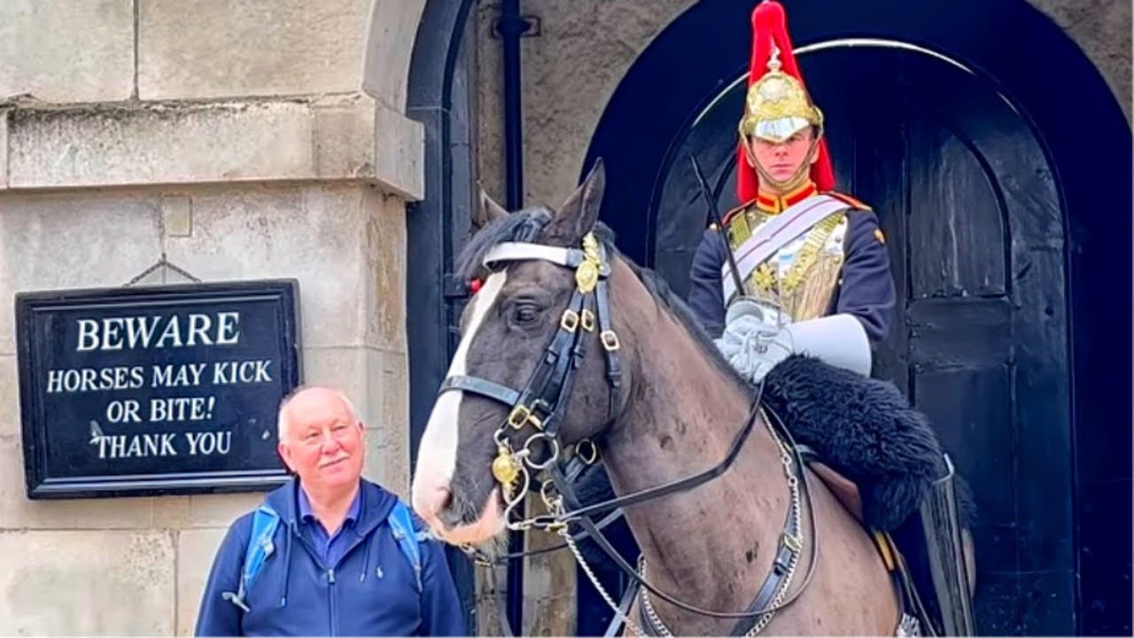 A sweet fellow gentleman, royal king guard horses! - YouTube