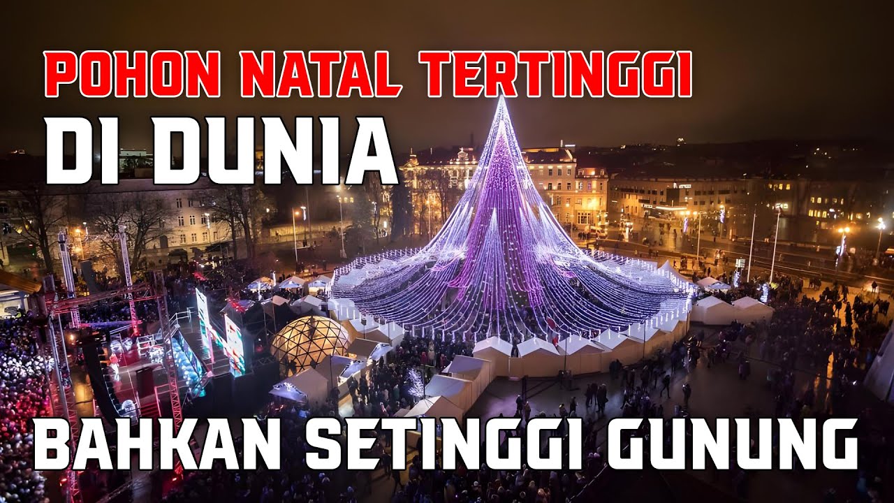 Pohon Natal Tertinggi Di Dunia, Pohon Natal Terbesar Di Dunia, Pohon ...