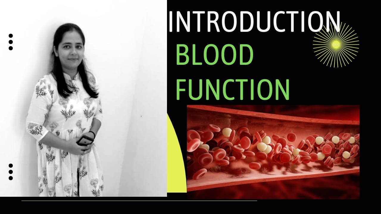 Blood Function ,Definition of Blood - YouTube