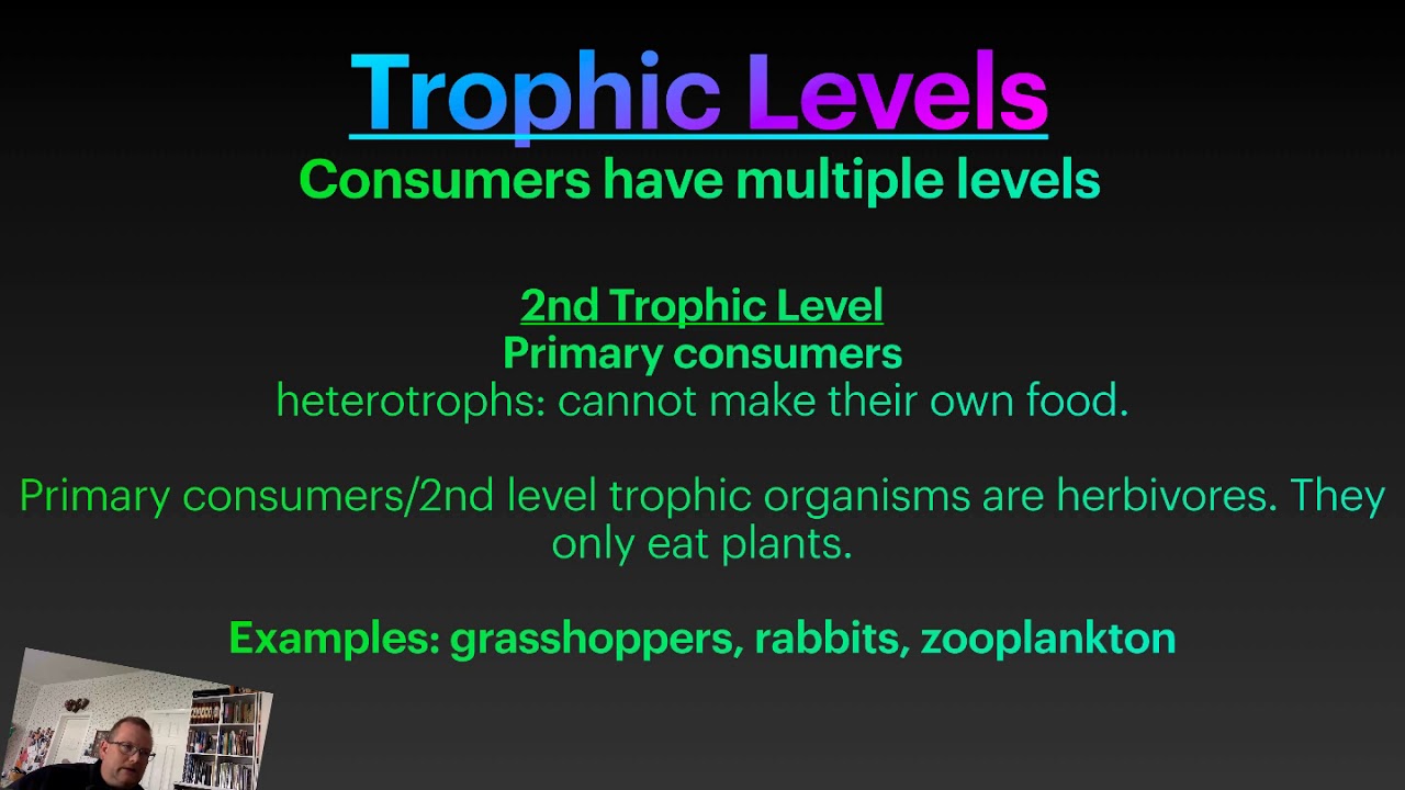 Trophic Levels - YouTube