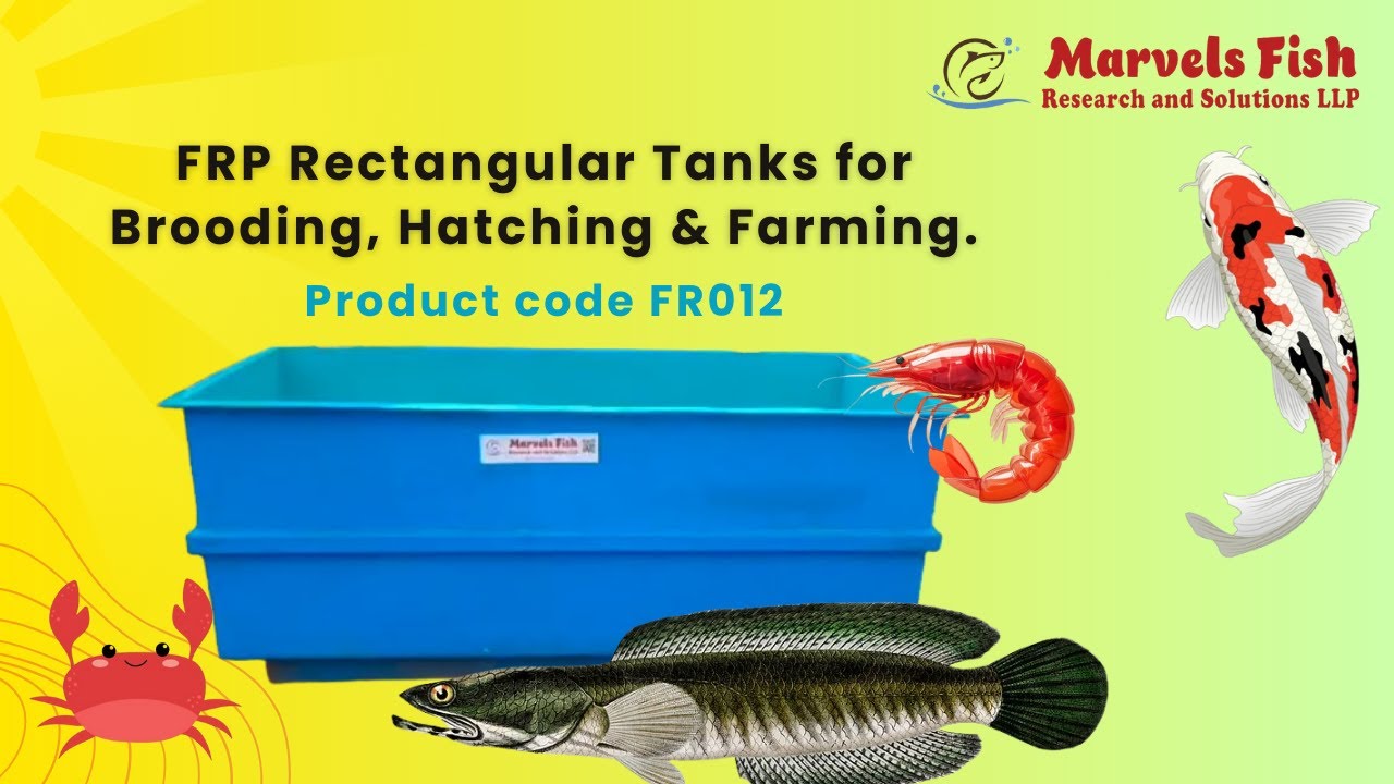 FRP Rectangular Tanks for Brooding, Hatching & Farming | Marvels Fish ...