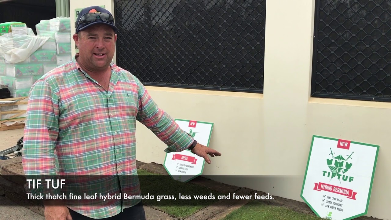 Talking Lawn Solutions Australia Turf with Jason Hodges - YouTube