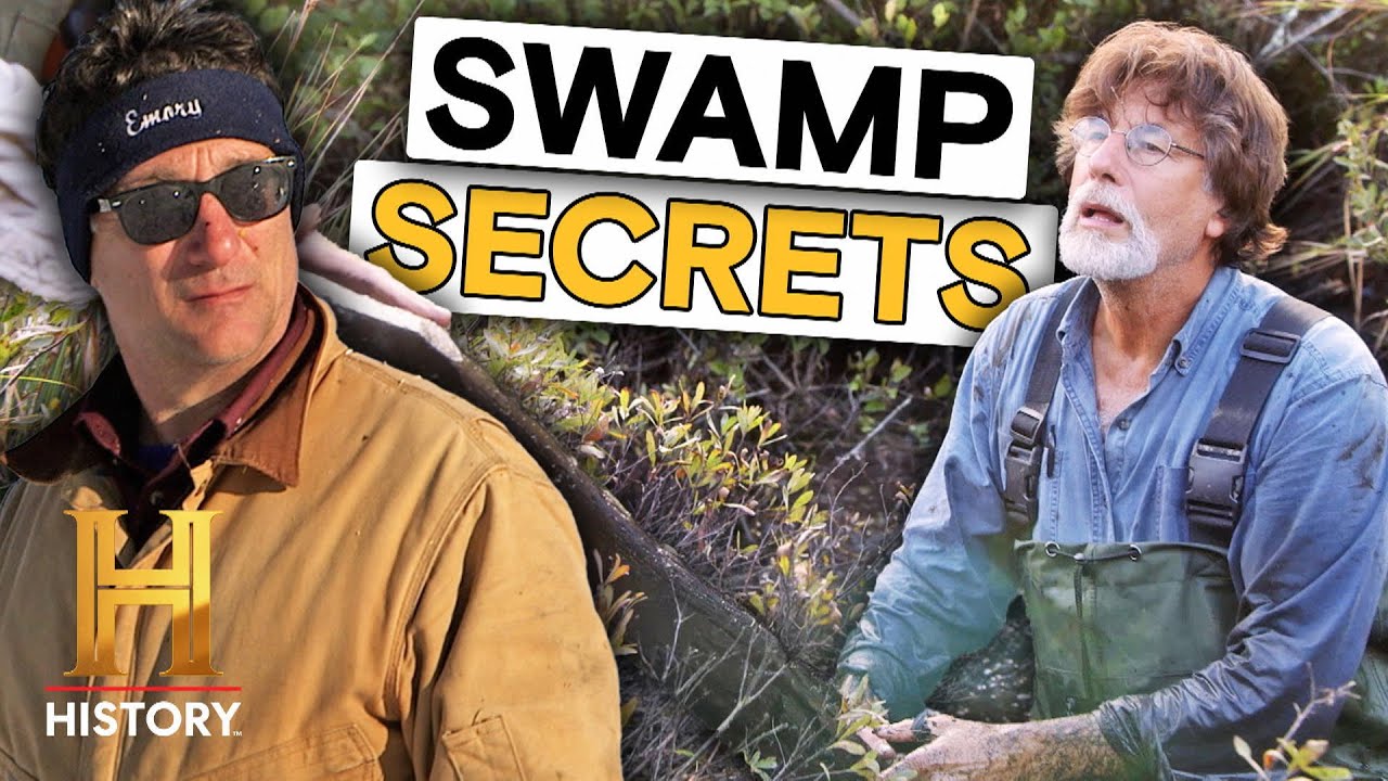 4 ASTONISHING SWAMP FINDS | The Curse of Oak Island | History - YouTube