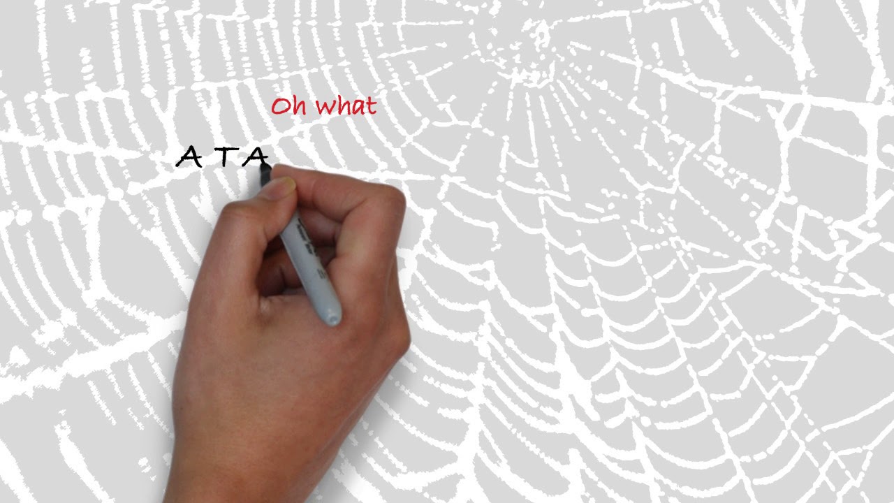 A Tangled Web - YouTube