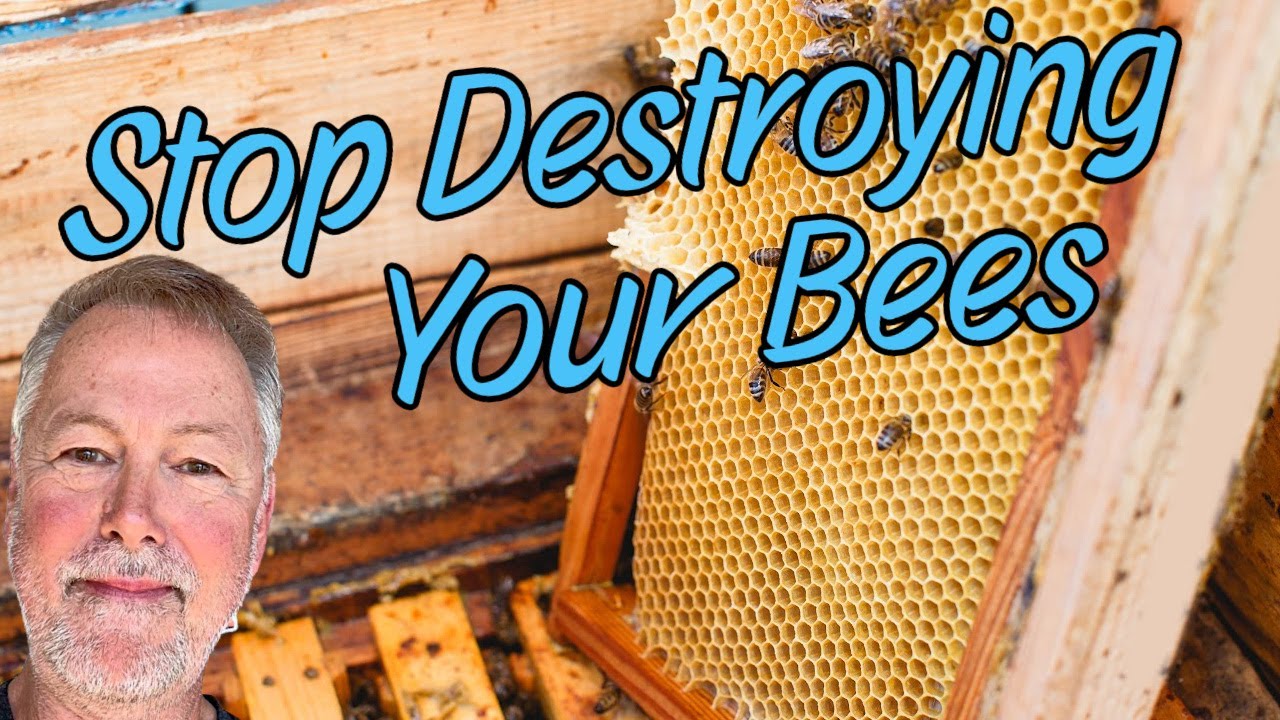 Beekeeping | How To Avoid Killing Your Bees - YouTube