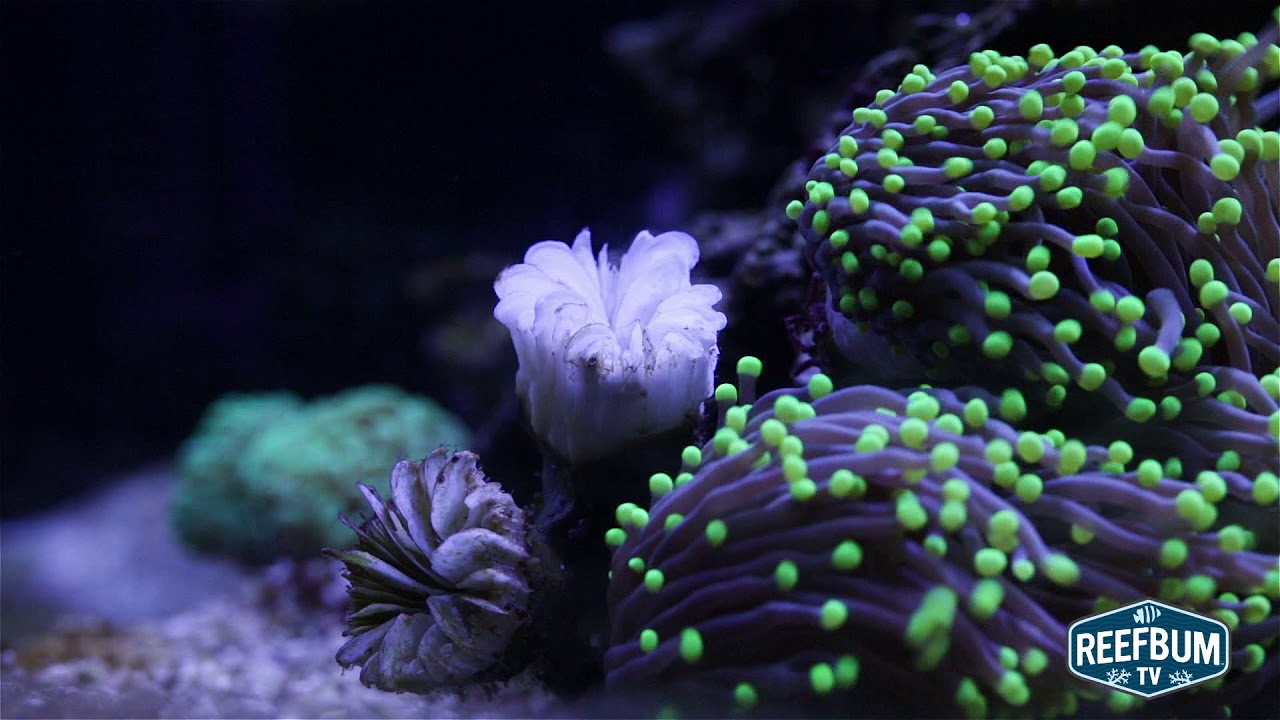 How I Averted a Complete Tank Crash - YouTube