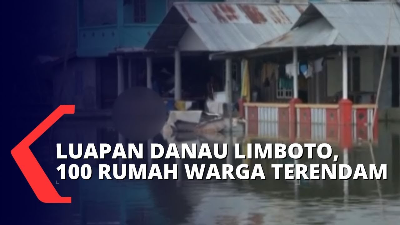 Inilah Kondisi Terkini Korban Banjir dari Luapan Danau Limboto di ...