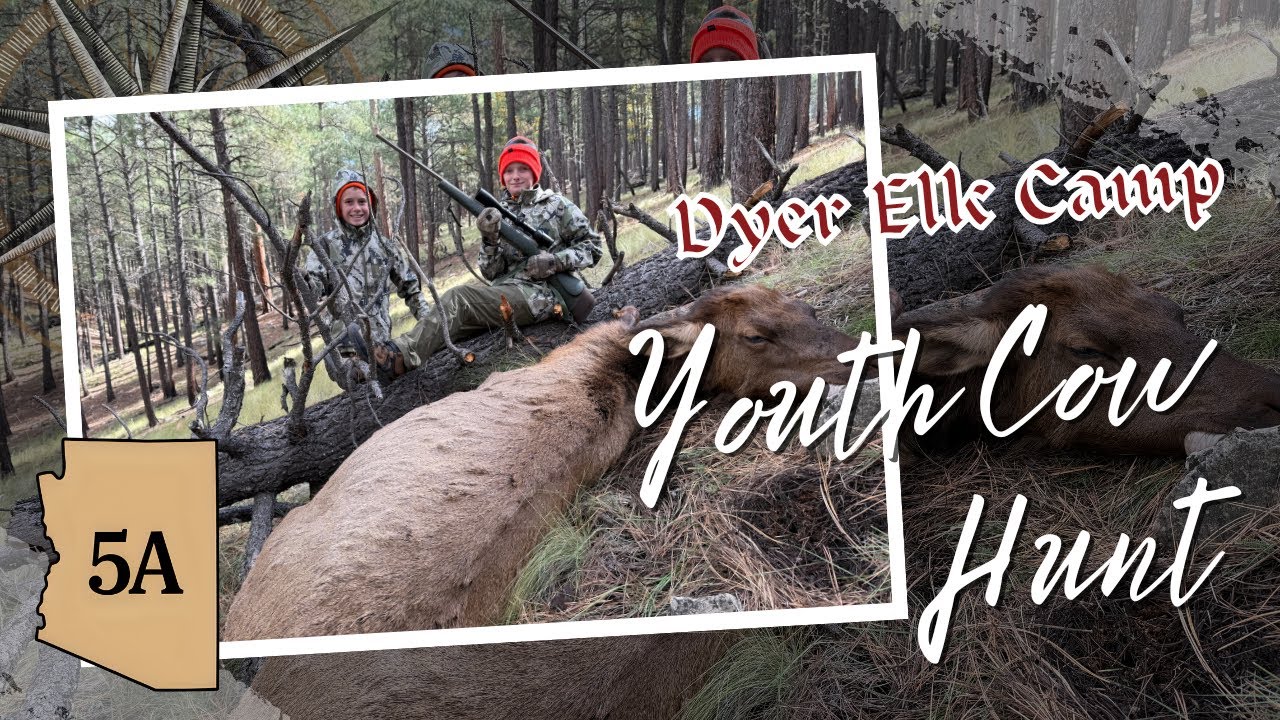 2025 Arizona Youth Cow Elk Hunt unit 5A - YouTube