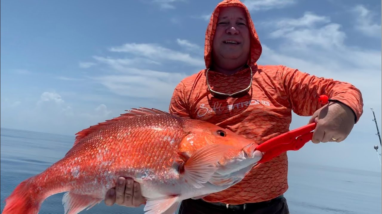 [Huge Red Snapper & Cobia] Strong Angler Of The Week! - YouTube