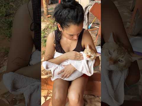 Último banho em casa